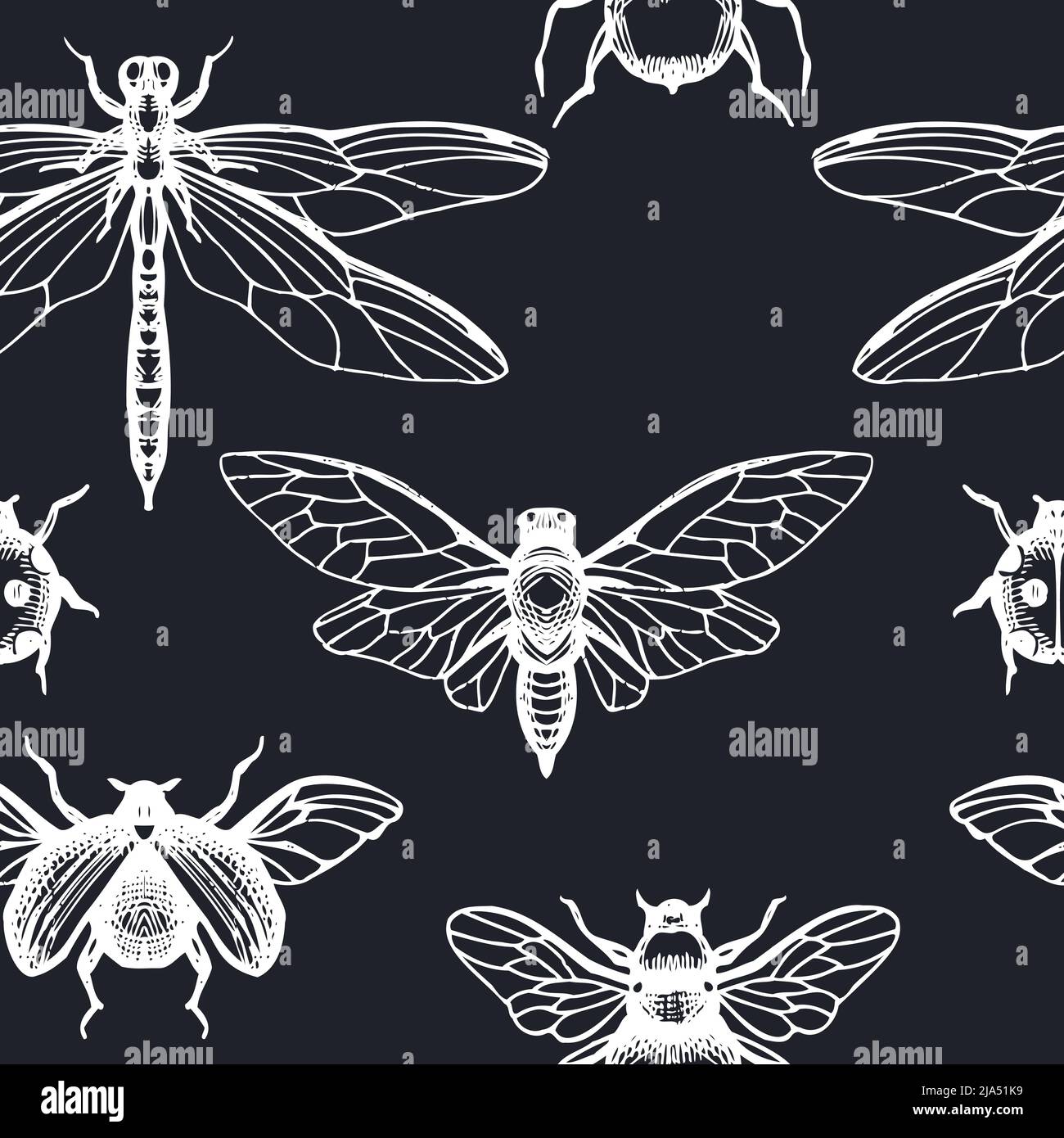 Tea herbs seamless pattern background design. Engraved style. Hand ...