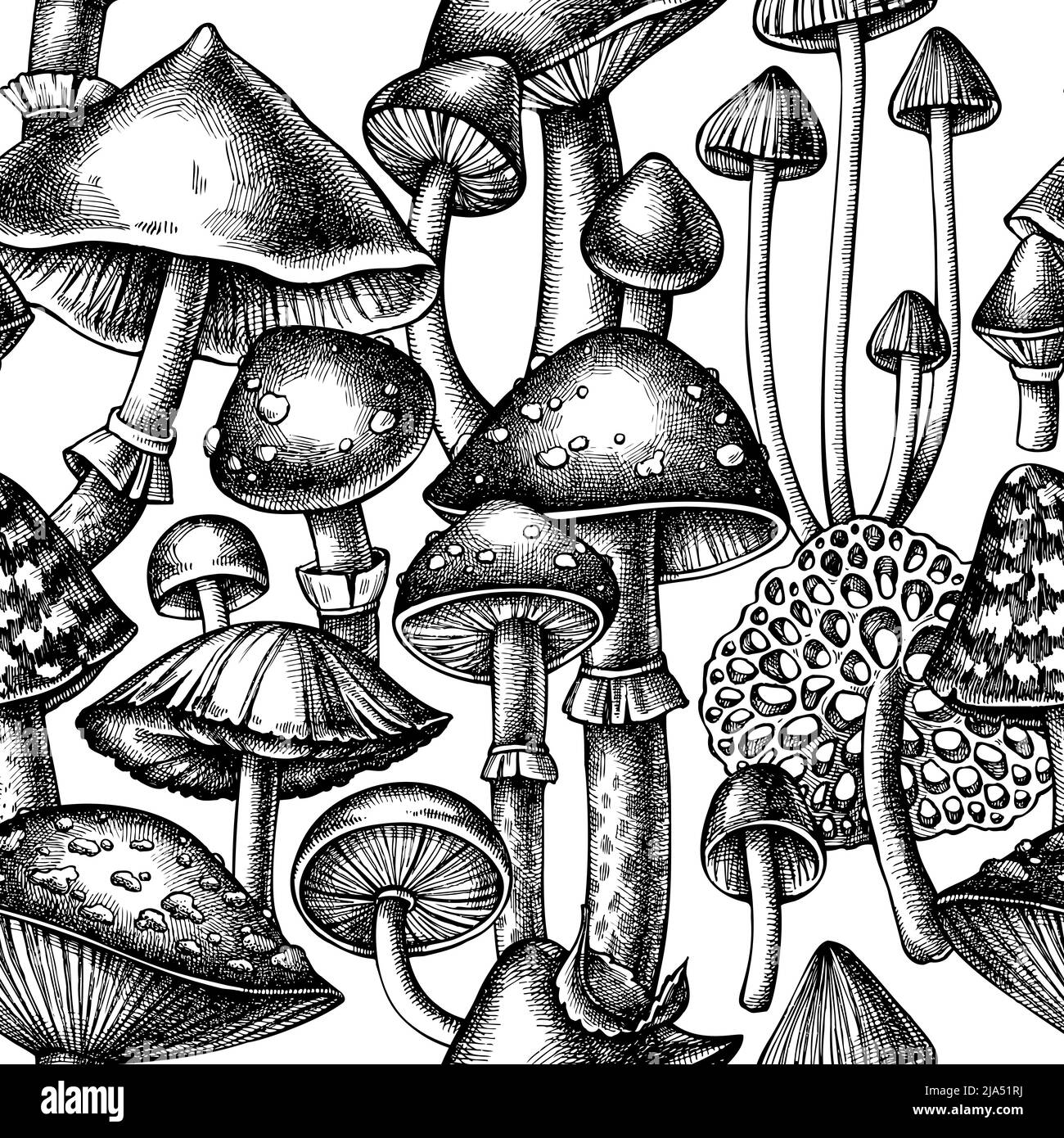 Forest mushrooms seamless pattern background design. Engraved style ...
