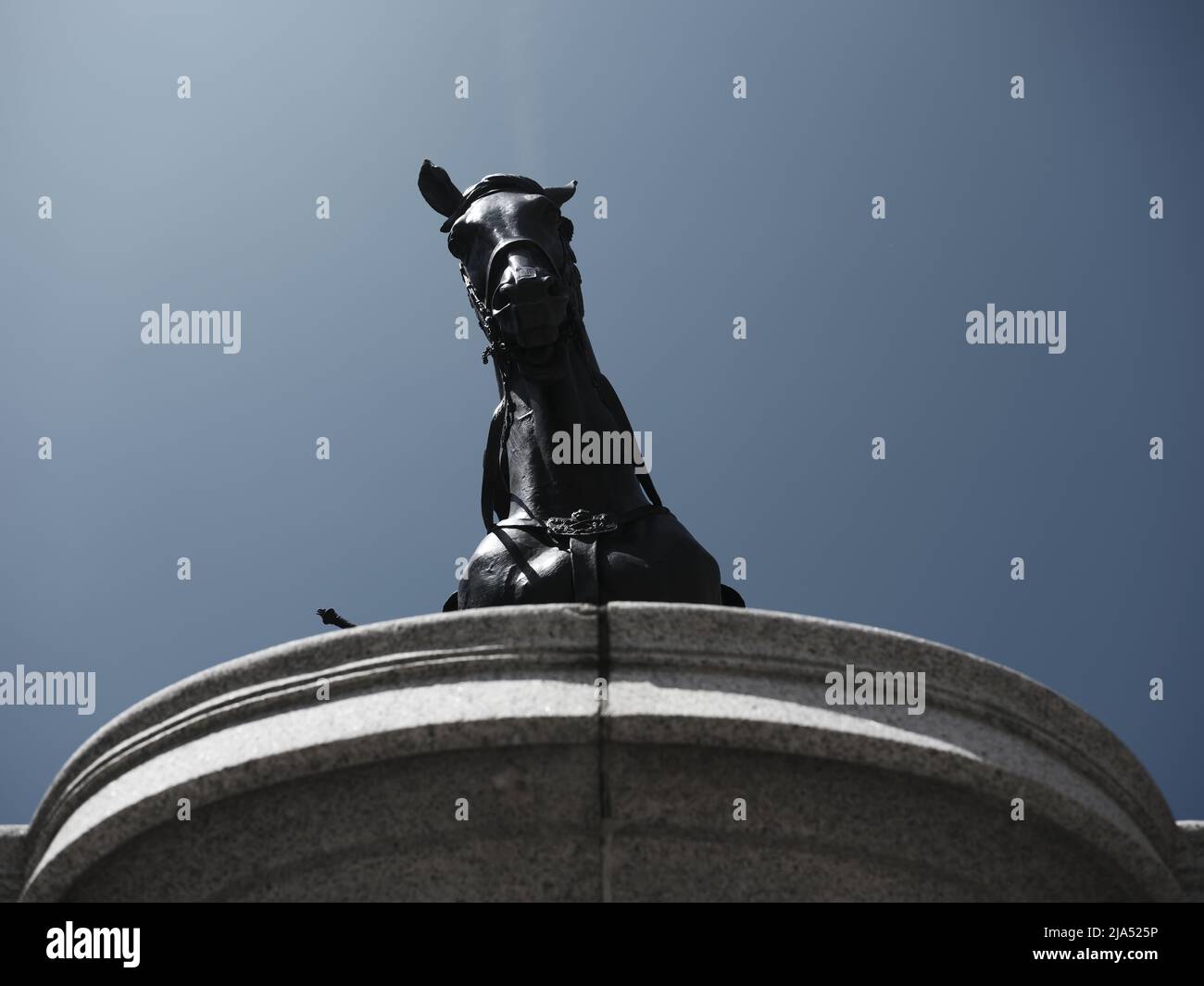 Duke of Cambridge Statue Stock Photo - Alamy
