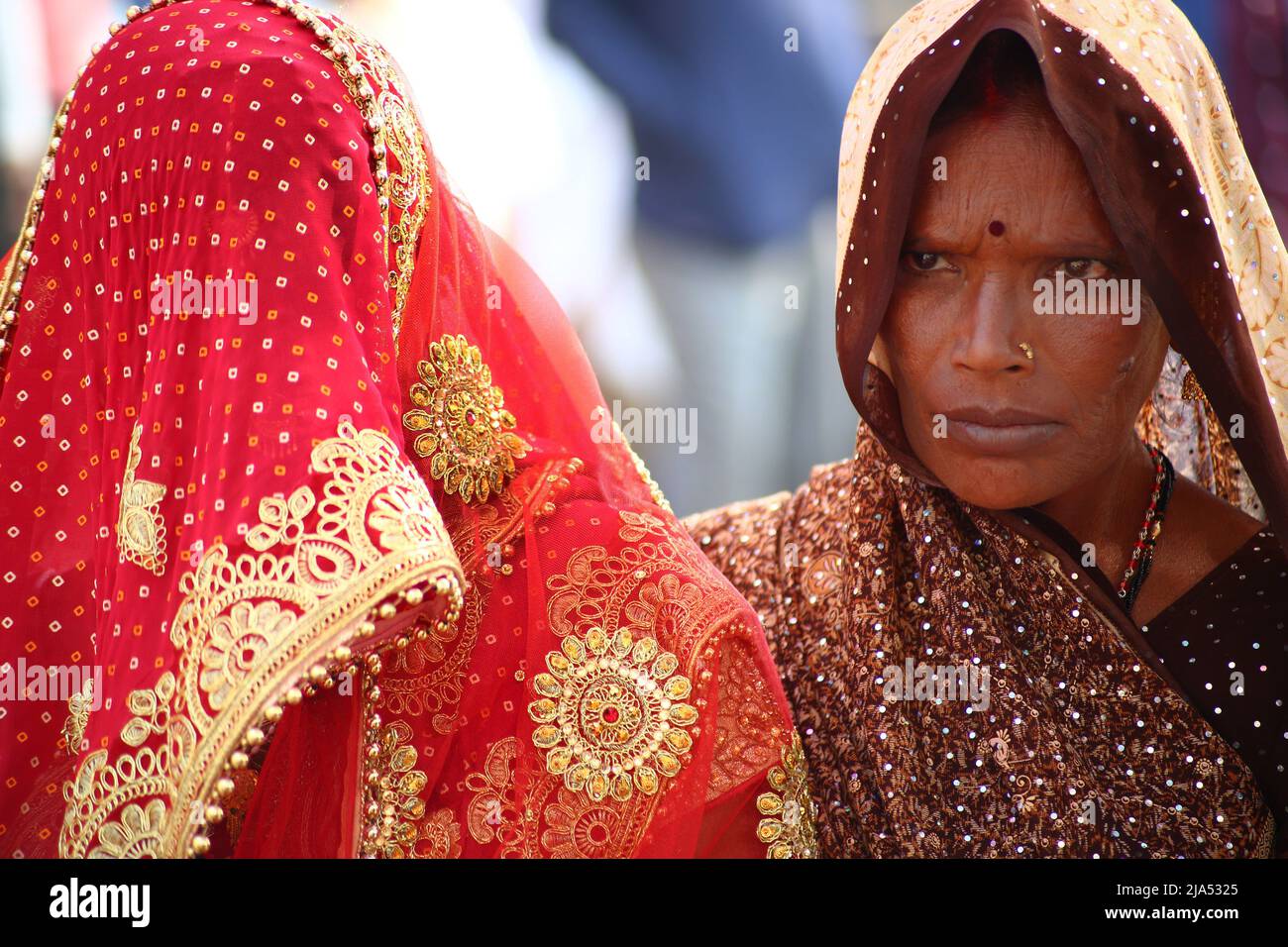India, Uttar Pradesh, Varanasi, Banaras, Portrait of a young veiled ...