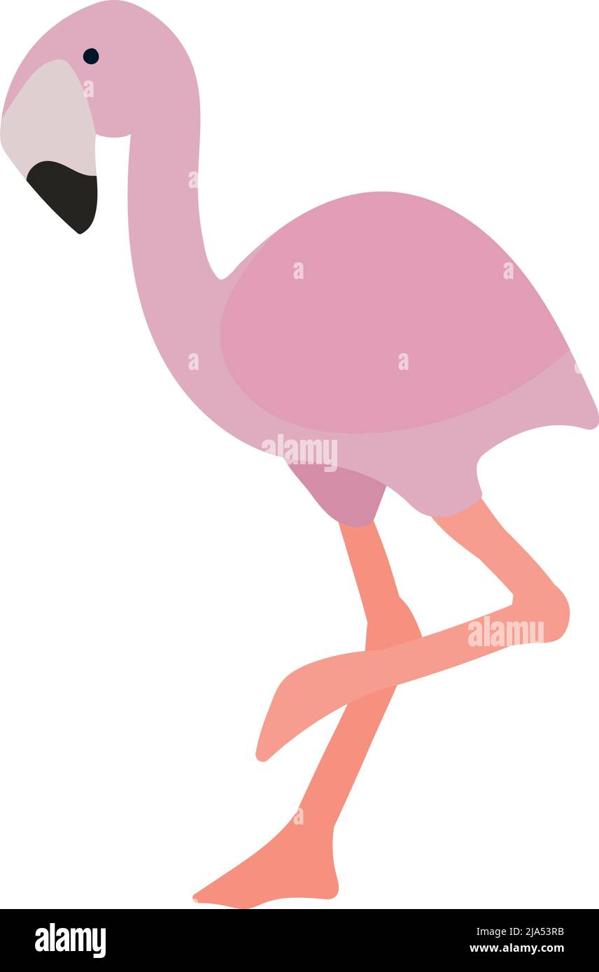 flamingo wild animal Stock Vector Image & Art - Alamy