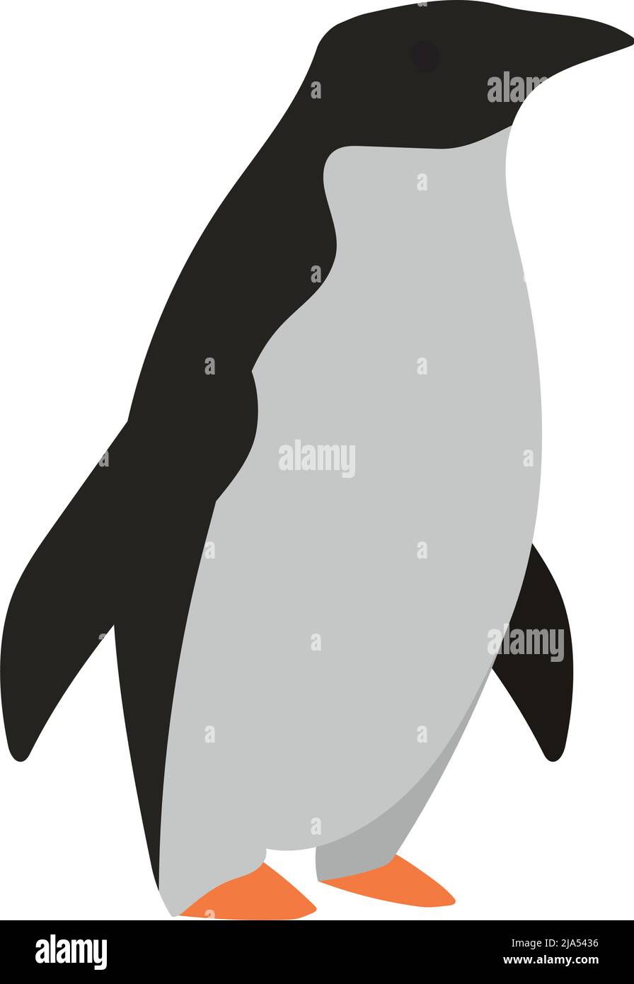 penguin wild animal Stock Vector Image & Art - Alamy