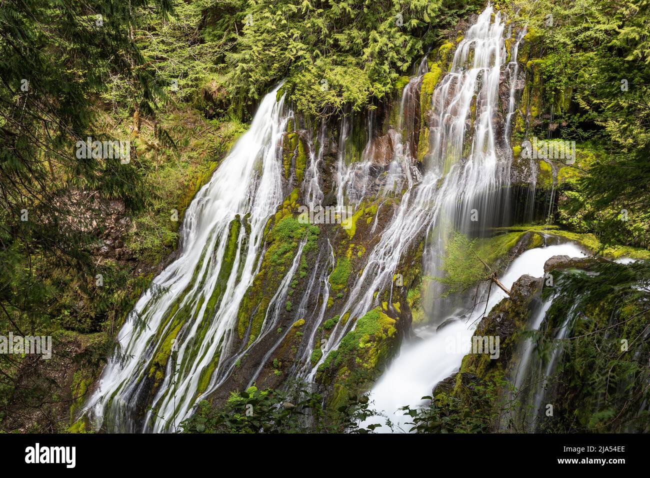 Panther creek falls, Carson Washington Stock Photo - Alamy