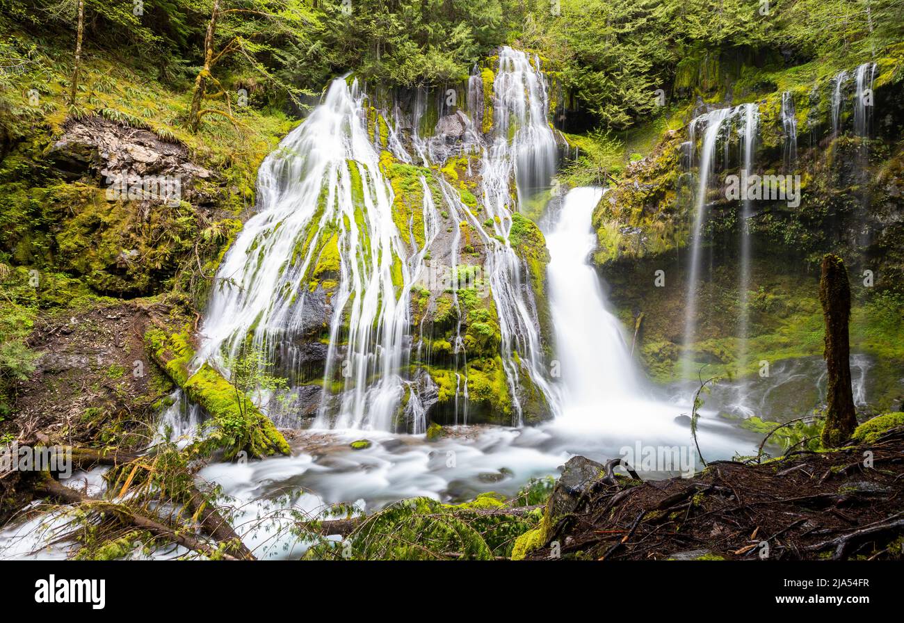Panther creek falls, Carson Washington Stock Photo - Alamy