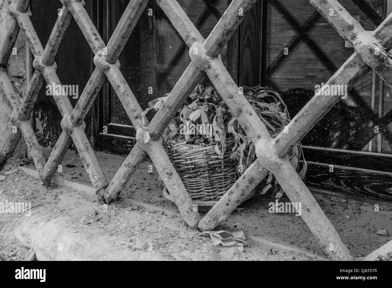 Pastel blue green Black and White Stock Photos & Images - Alamy