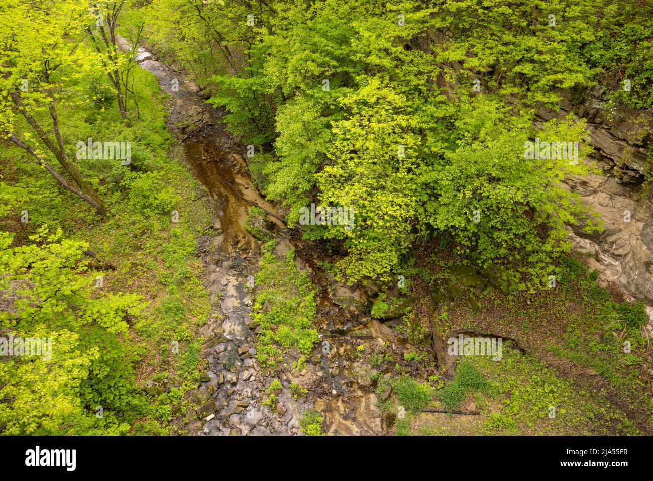 Aerial view of a creek in the woods during spring Stock Photo - Alamy
