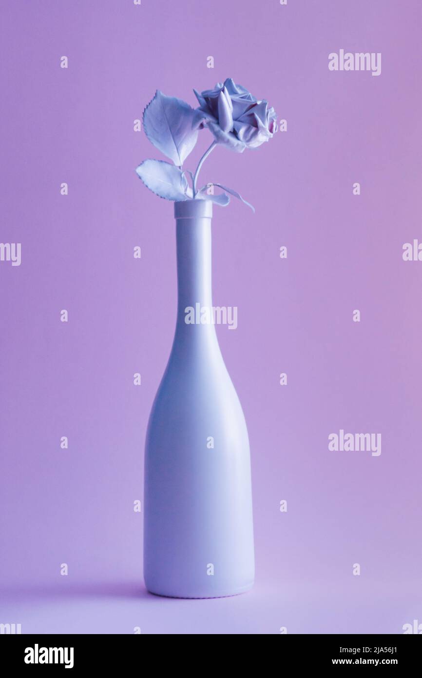 Rose flower in white bottle on vibrant bold purple color. Concept art ...