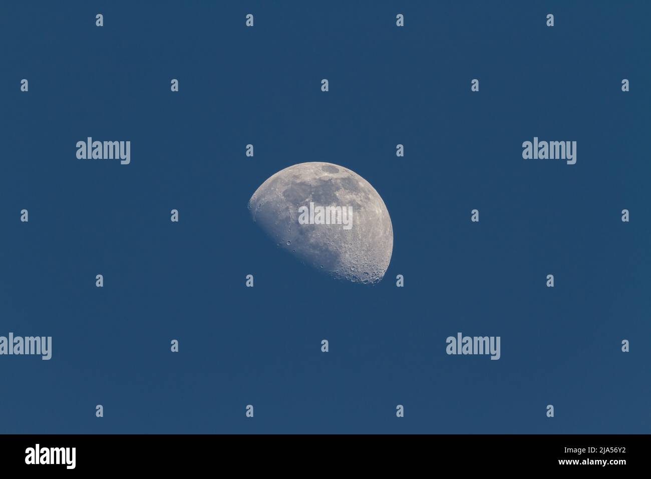 Crescent Moon visible over half during blue hour in spring Stock Photo ...