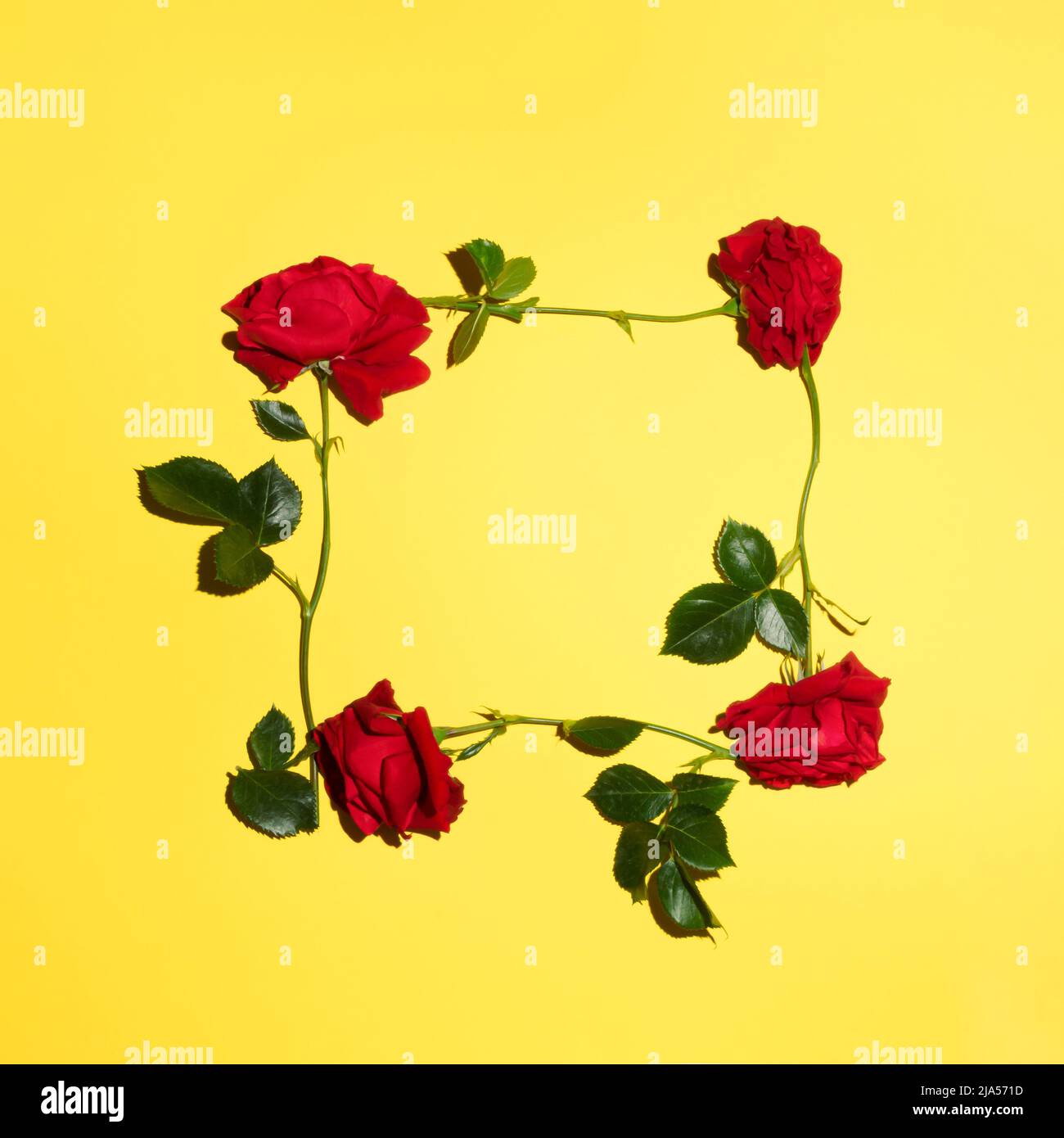 Aesthetic frame hi-res stock photography and images - Alamy