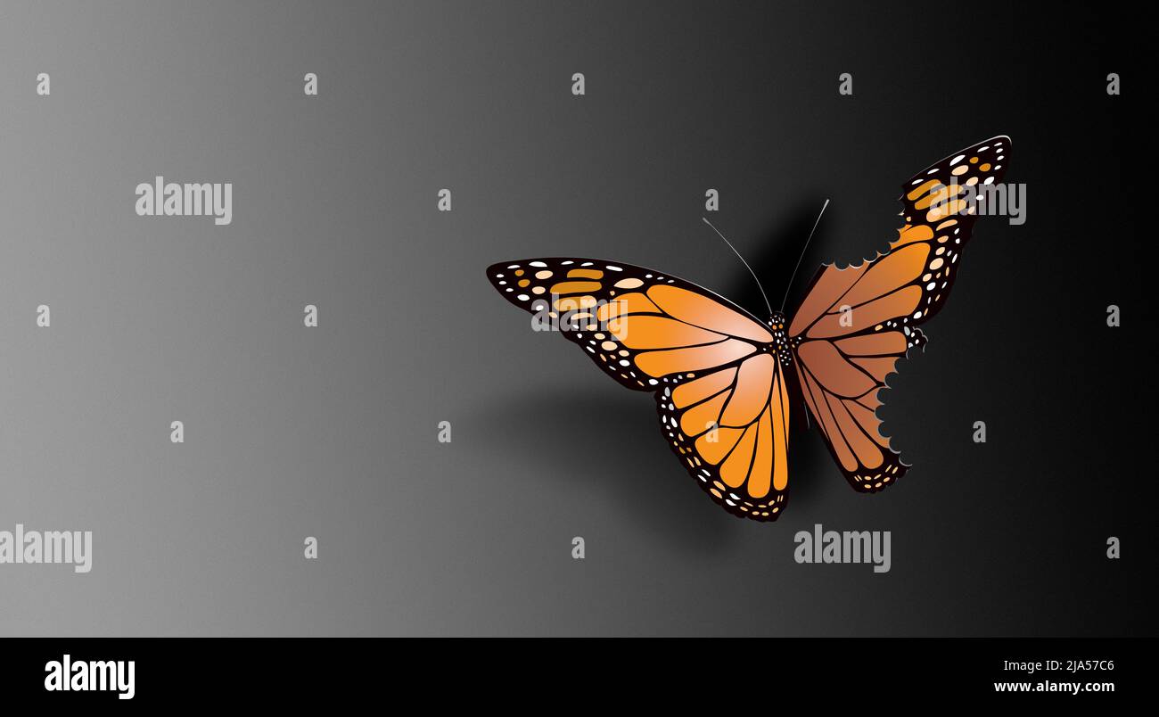 Graphic design of iconic monarch butterfly with wing scarred with bite marks against abstract ...