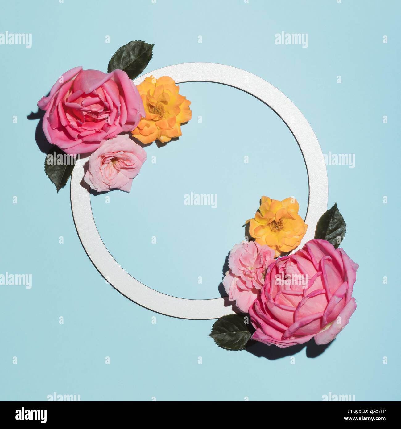 Round frame with copy space made of colorful rose flowers and leaves on ...