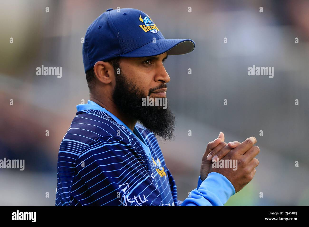 Adil Rashid of Yorkshire Vikings Stock Photo - Alamy