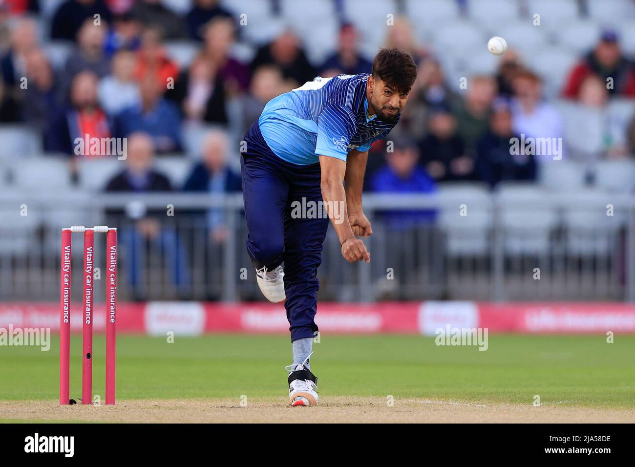 Cricket rauf haris hi-res stock photography and images - Alamy