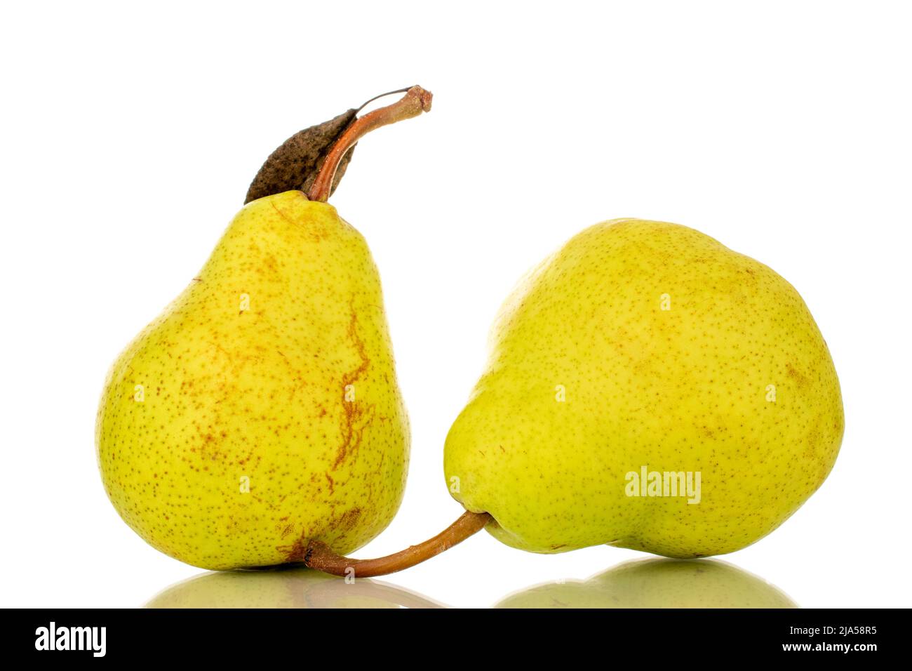 Two juicy bright yellow pears, close-up, isolated on a white background ...