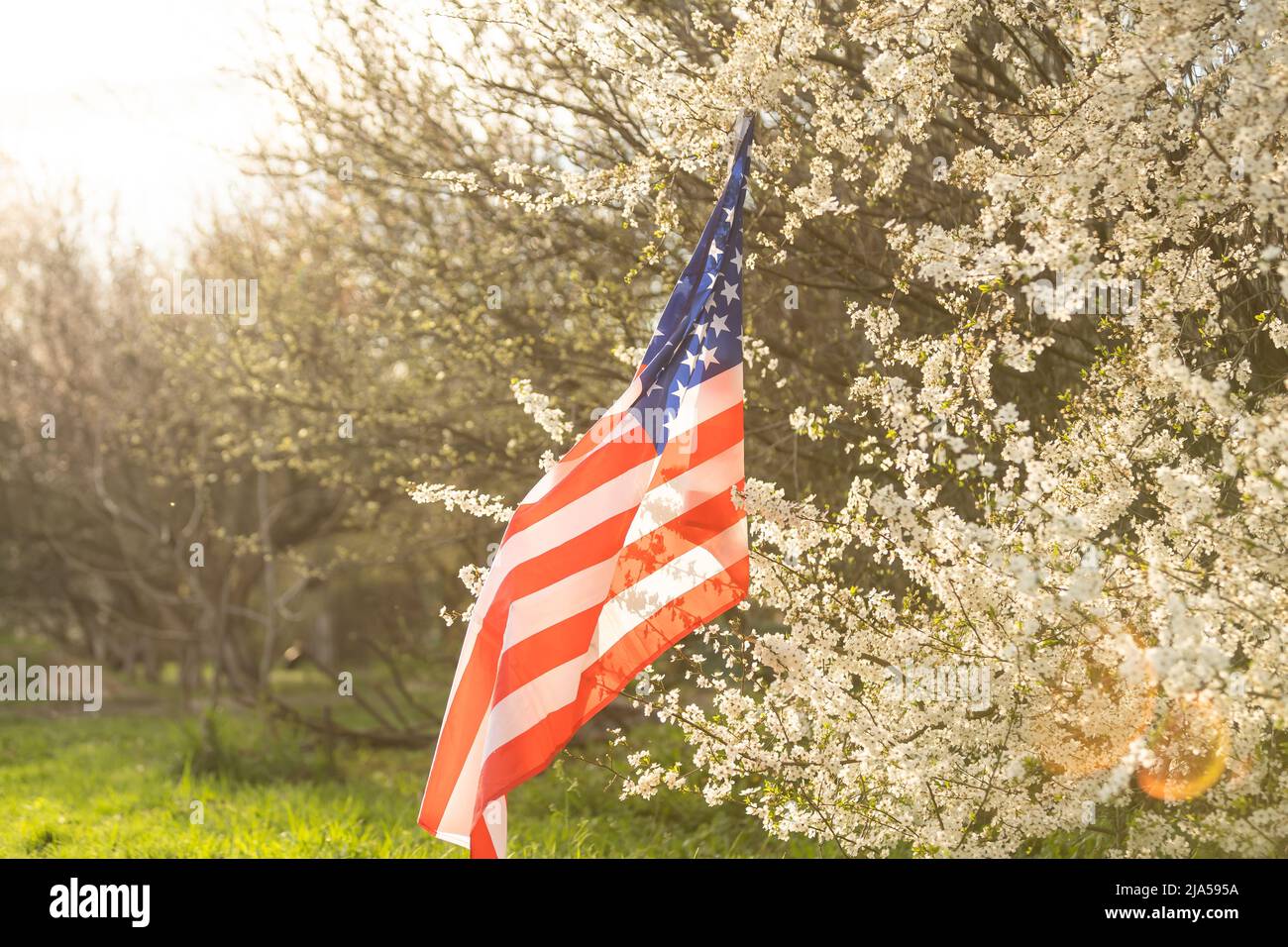 American flag wood flowers hi-res stock photography and images - Alamy