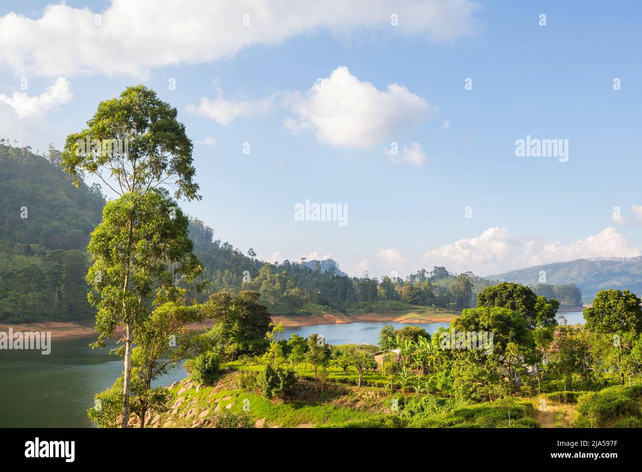 Beautiful natural landscapes in Sri Lanka Stock Photo - Alamy