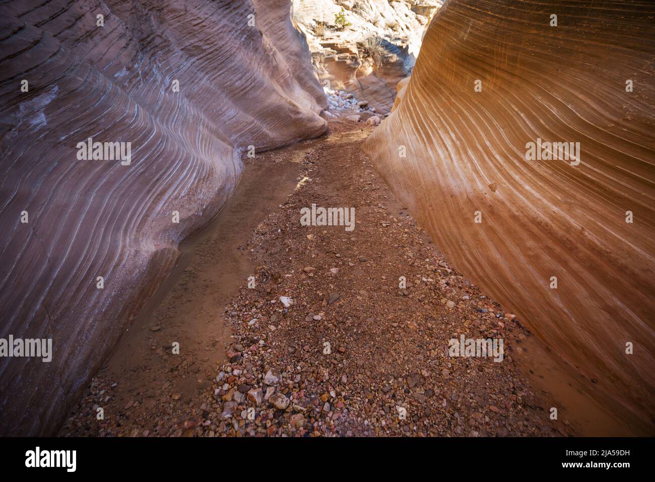 Slot canyon in Grand Staircase Escalante National park, Utah, USA ...