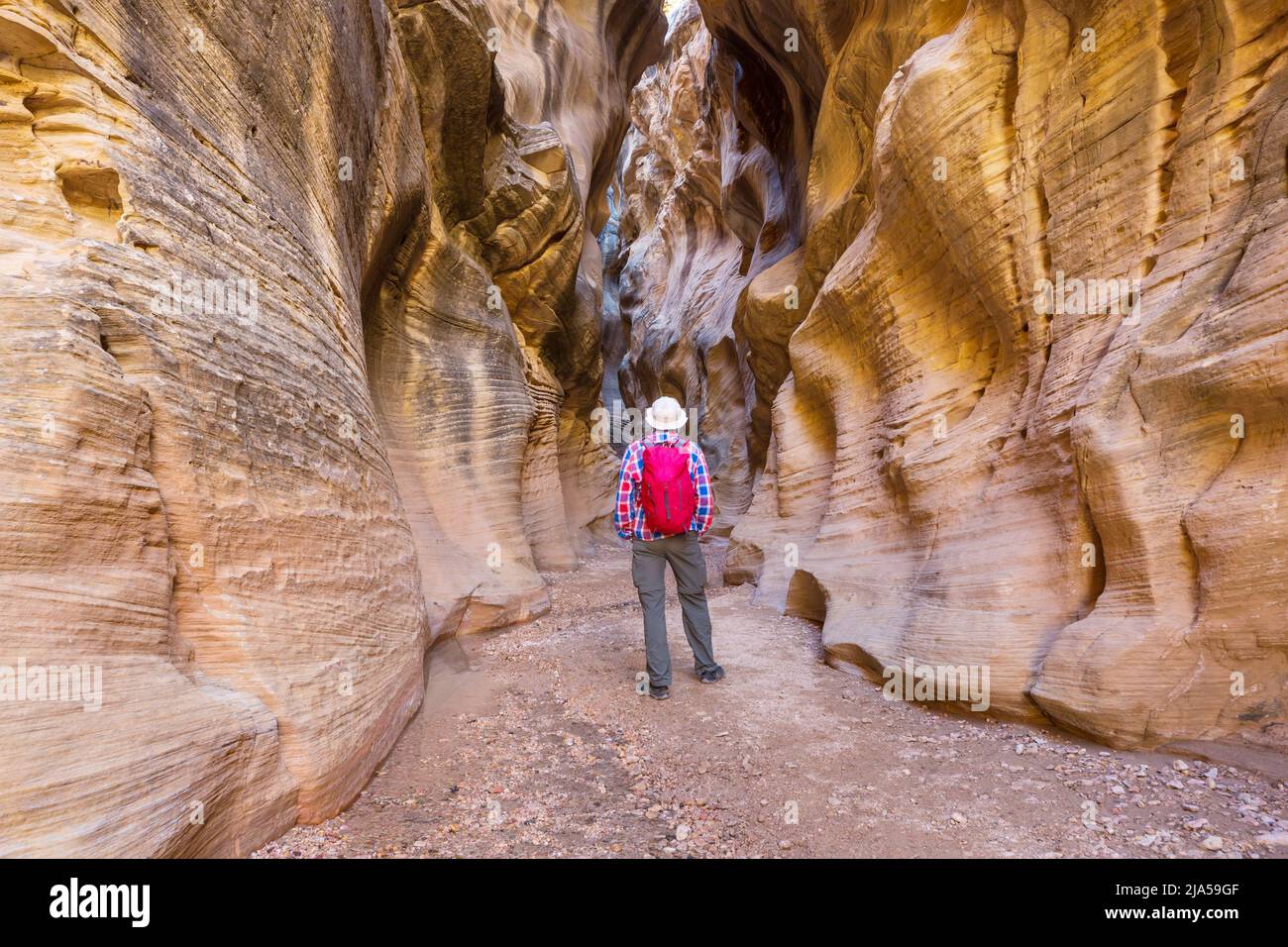 Slot canyon in Grand Staircase Escalante National park, Utah, USA ...