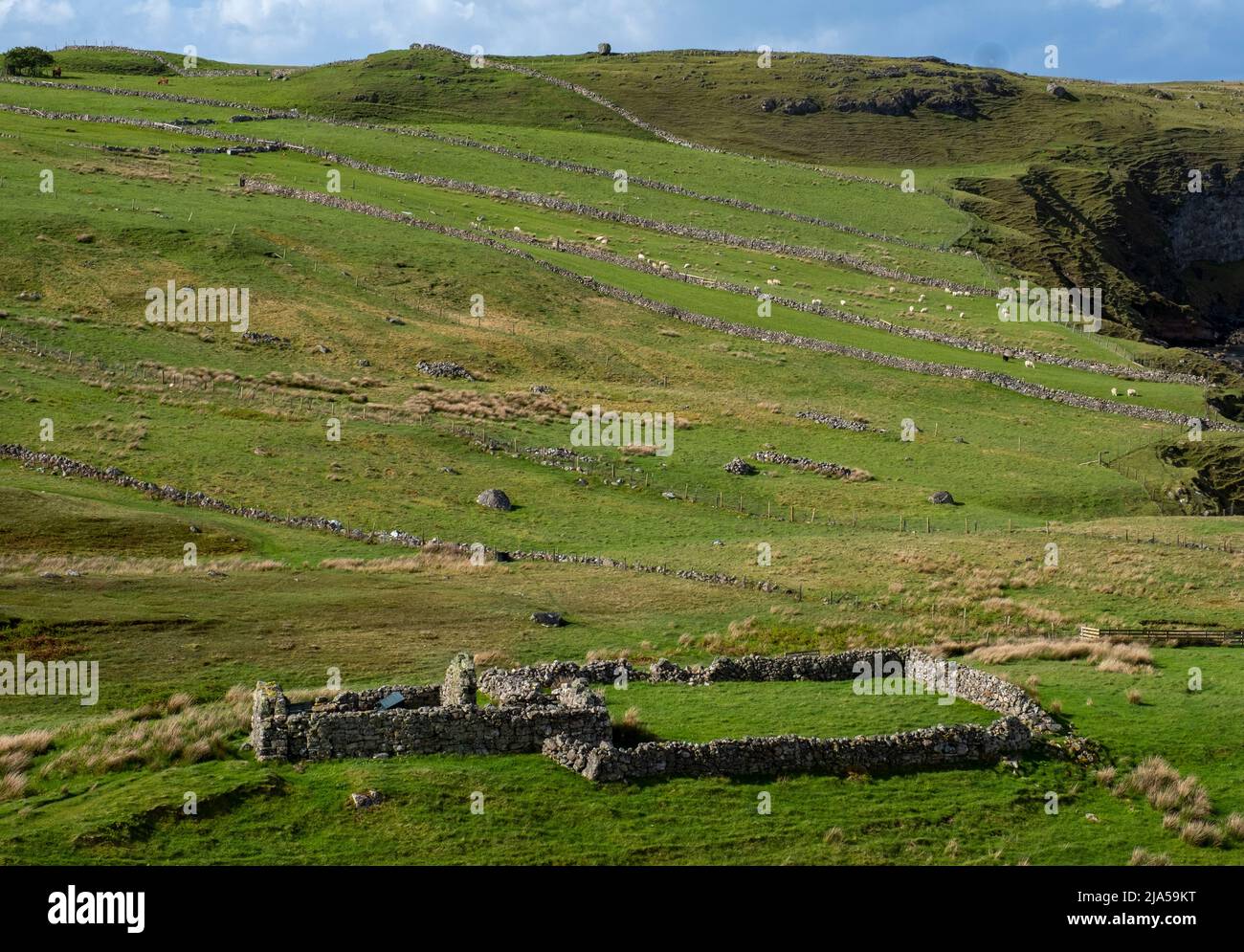 Croft scotland hi-res stock photography and images - Alamy