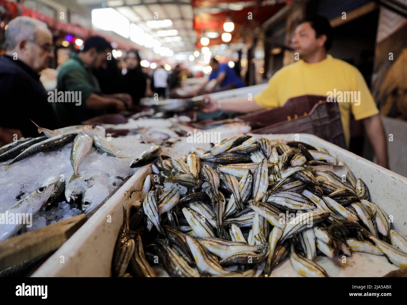 New fish market hi-res stock photography and images - Alamy