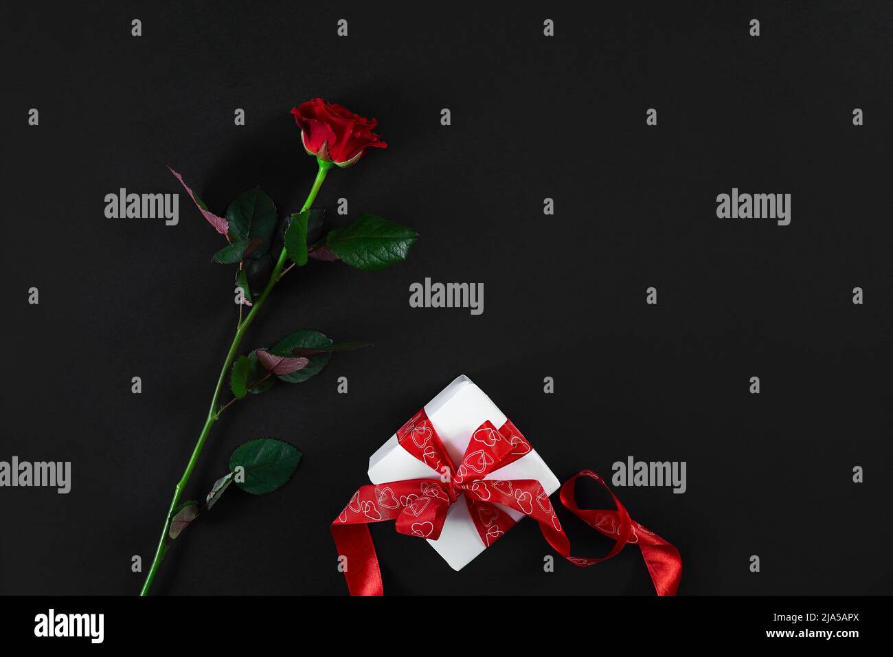 One dark red rose with red ribbon and gift box on black backgrou Stock ...