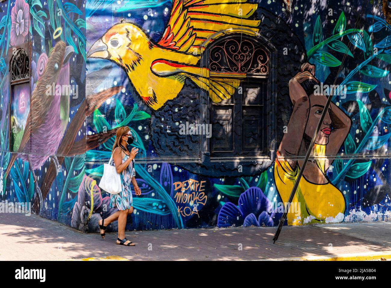 Colourful Graffiti/Street Art, Barranco District, Lima, Peru Stock Photo - Alamy