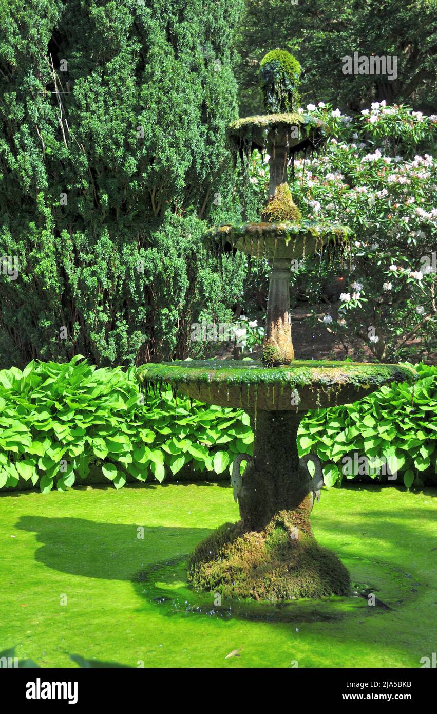 Moss fountain hi-res stock photography and images - Alamy