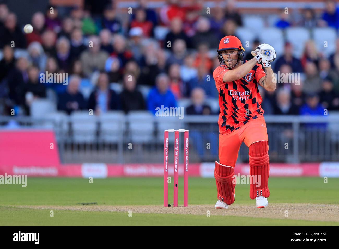 Tim david hi-res stock photography and images - Alamy