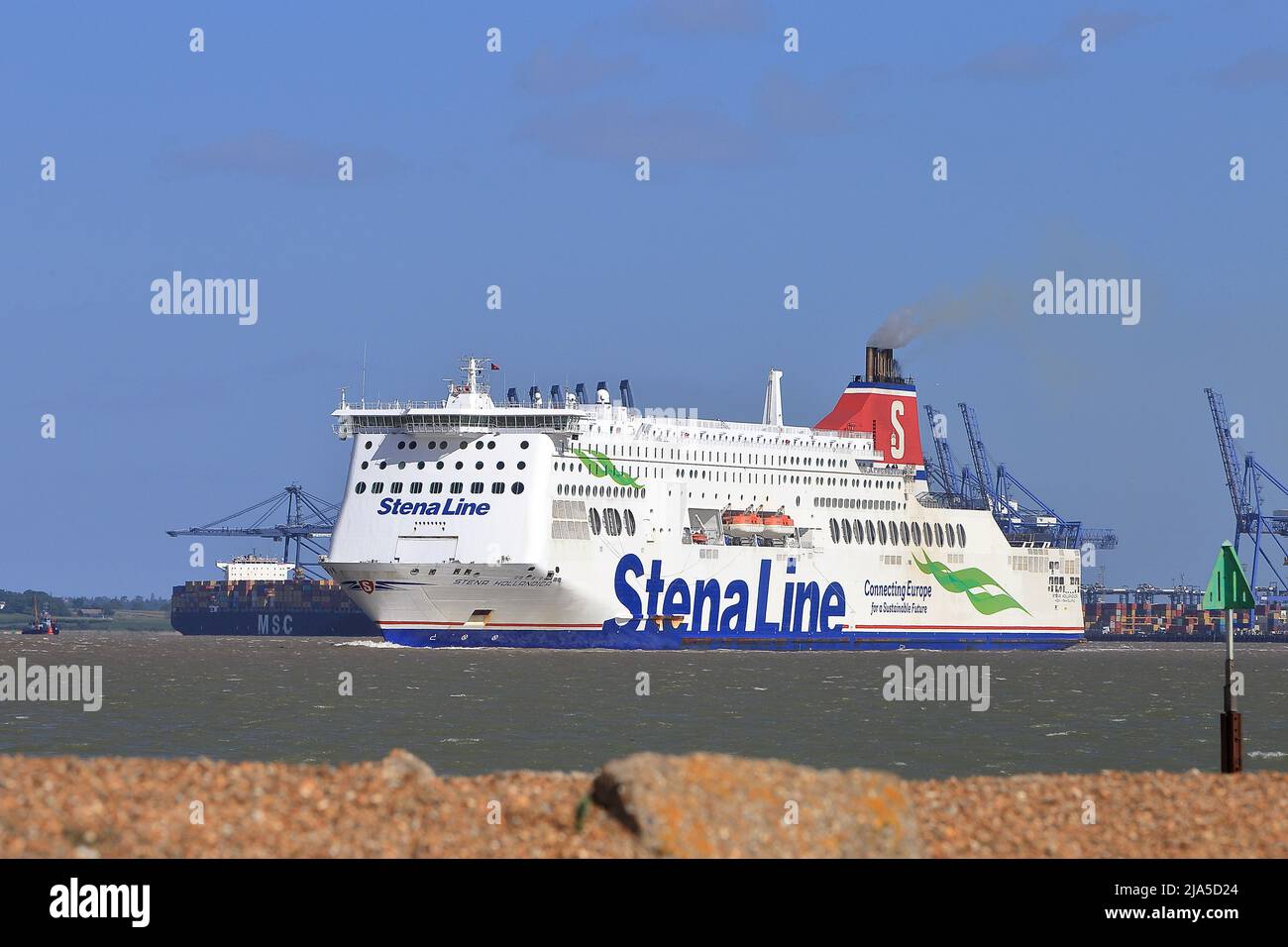 Stena Line ferry Stena Hollandica leaving Harwich Haven and passing Felixstowe Docks Stock Photo ...