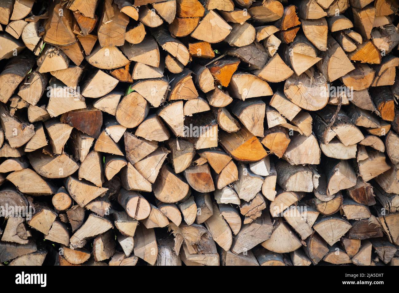 Pile of wood logs storage. Logging for firewood Stock Photo - Alamy