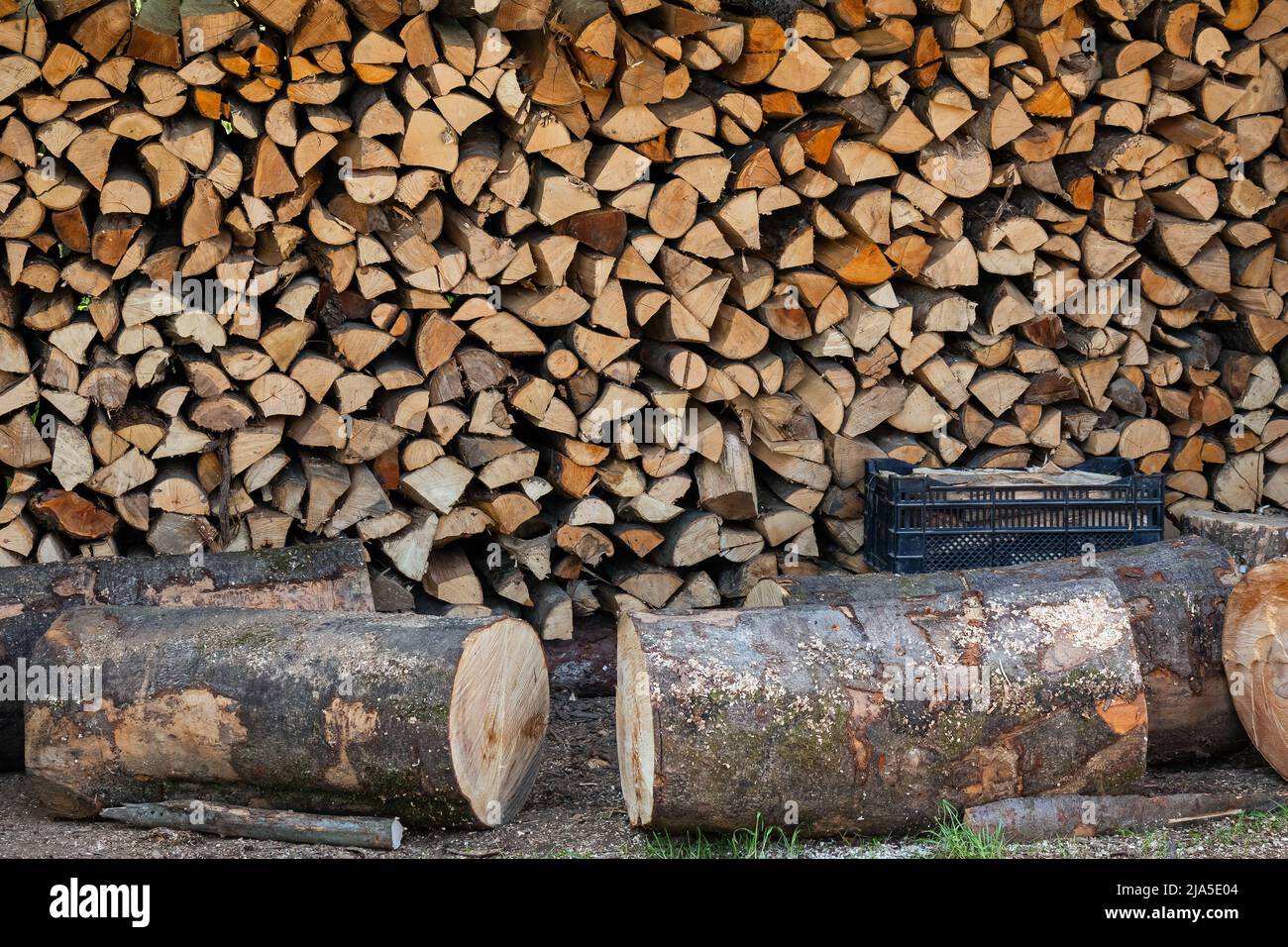 Pile of wood logs storage. Logging for firewood Stock Photo - Alamy