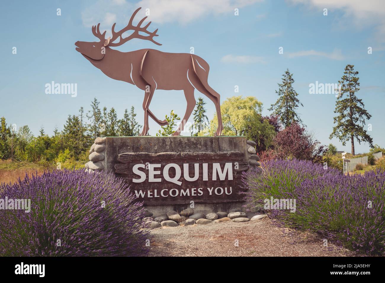 Welcome elk sign hi-res stock photography and images - Alamy