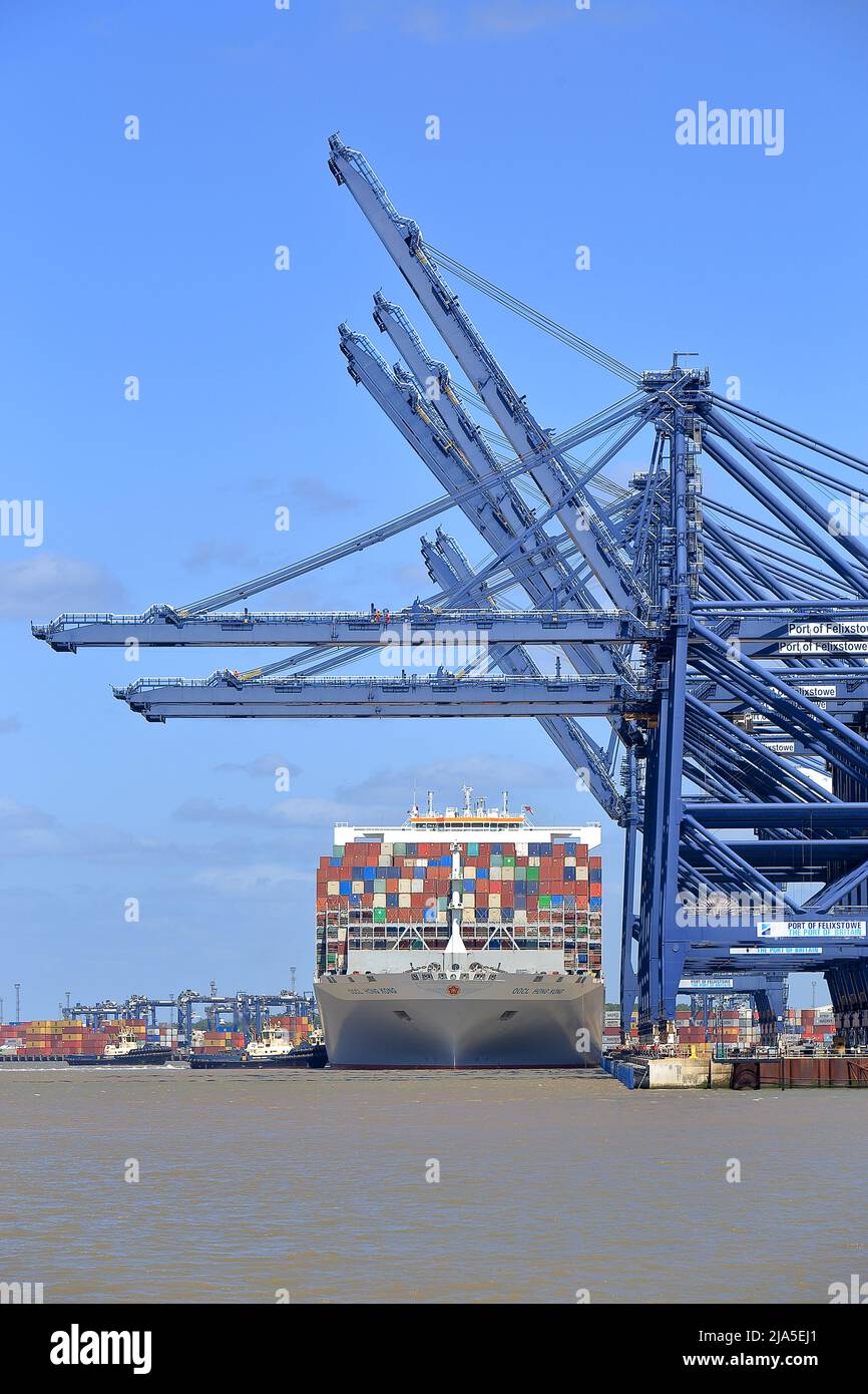 Container ship OOCL Hong Kong entering Harwich Haven and the Port of ...