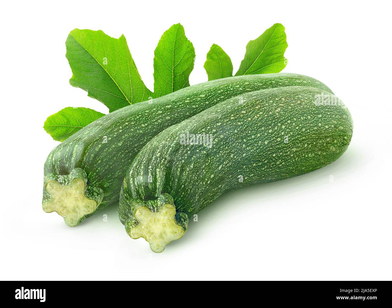 Two raw zucchini with leaves isolated on white background Stock Photo ...