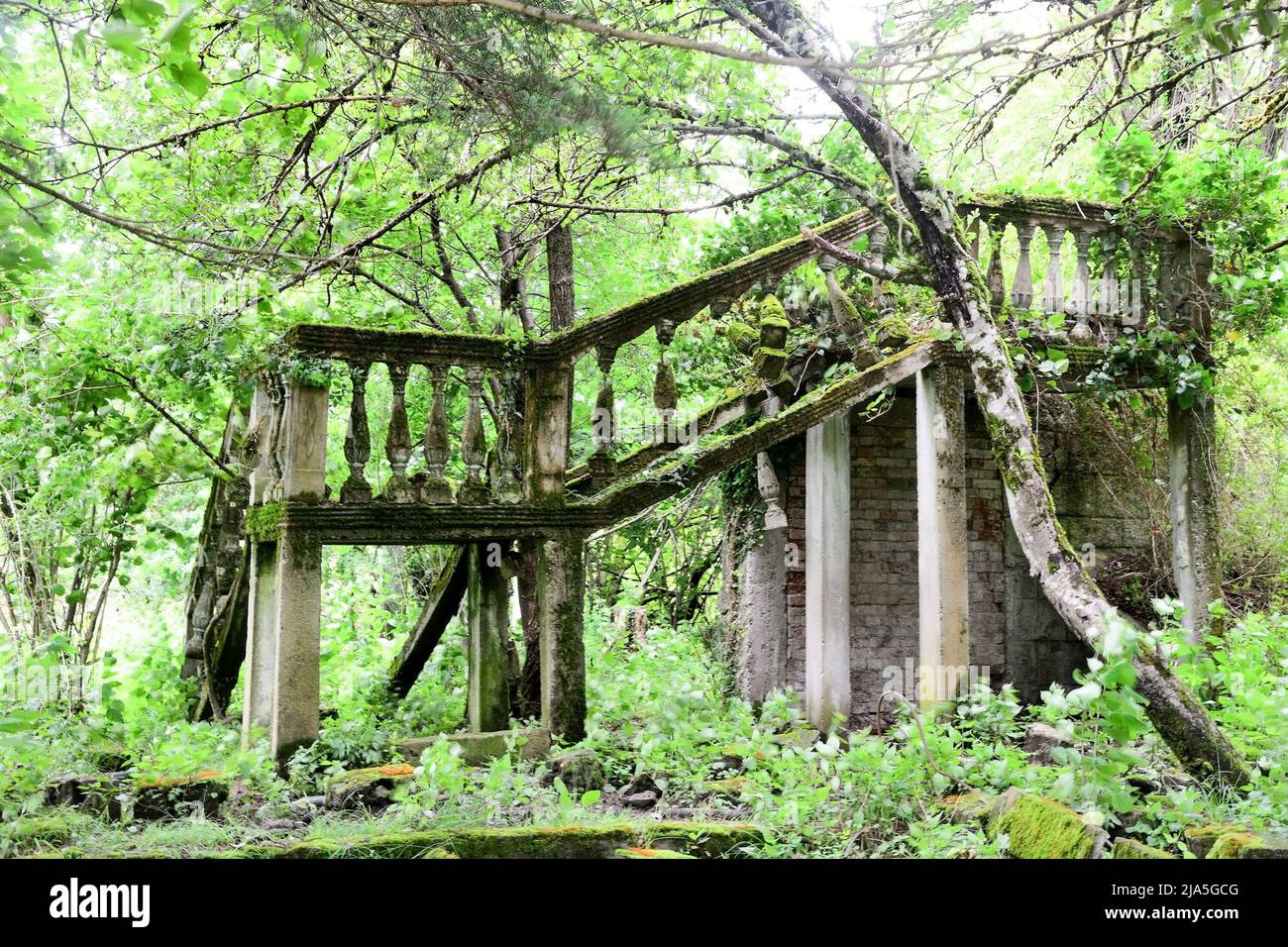 Overgrown ruins of abandoned mansion, Abkhazia Stock Photo - Alamy