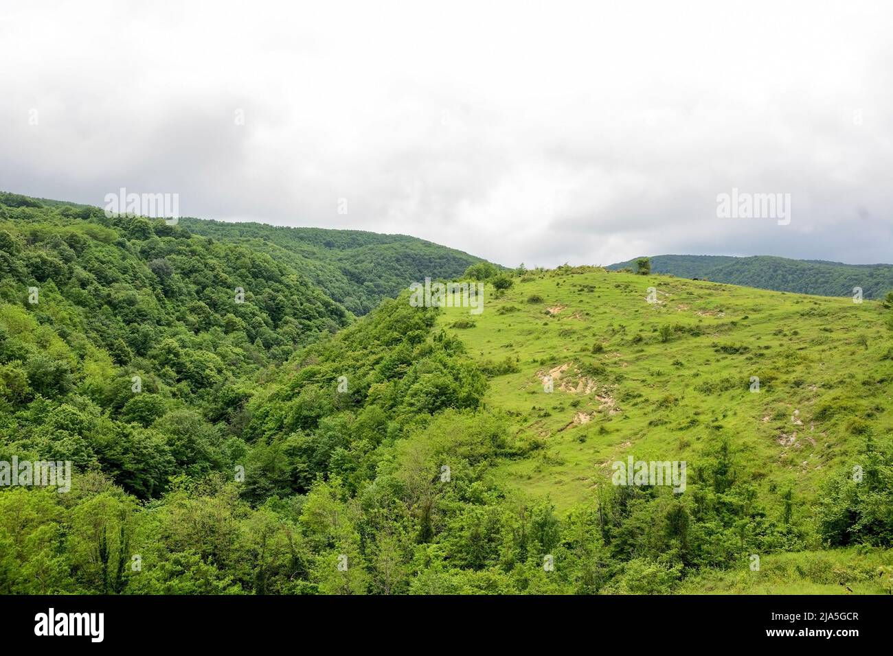 Alpine meadows, foggy mountains at Abkhazia (Kodori Gorge Stock Photo ...
