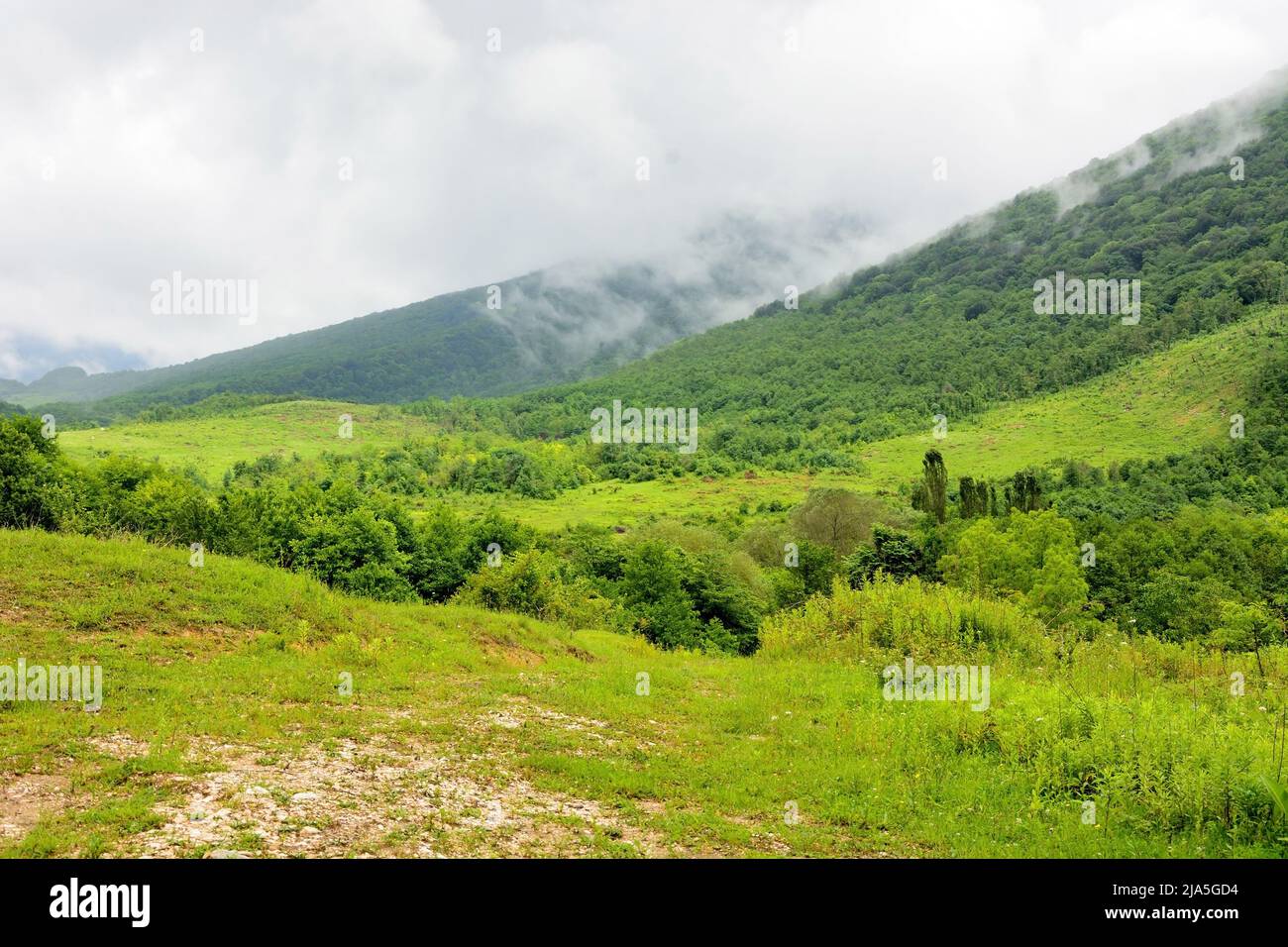 Alpine meadows, foggy mountains at Abkhazia (Kodori Gorge Stock Photo ...