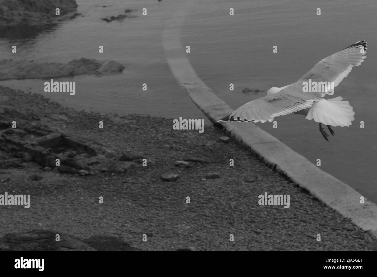 Bird island cove hi-res stock photography and images - Alamy