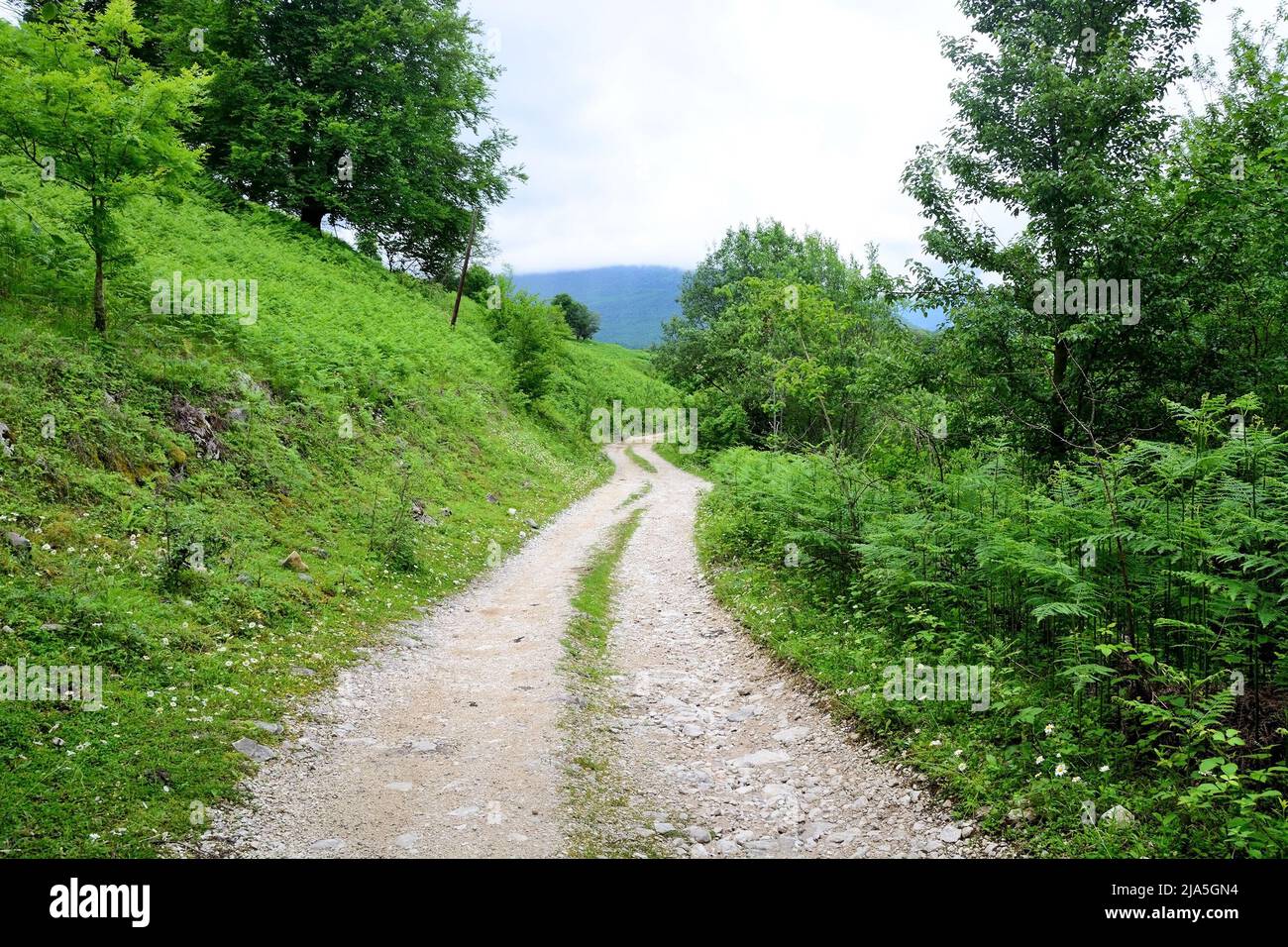 Kodori gorge hi-res stock photography and images - Alamy