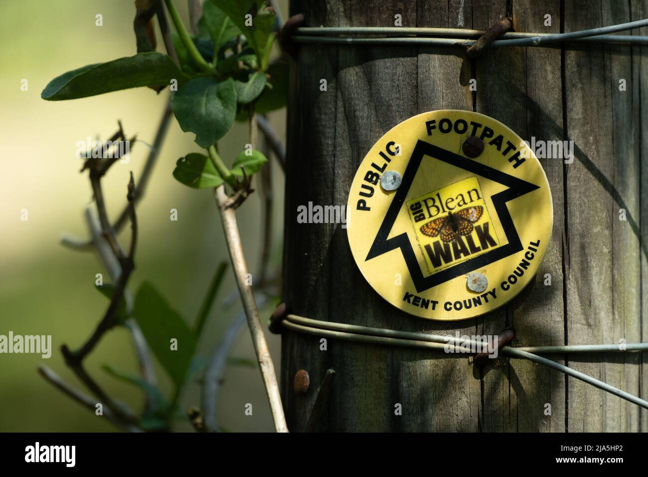 A sign for the Big Blean walk at Blean Woods near Canterbury in Kent ...