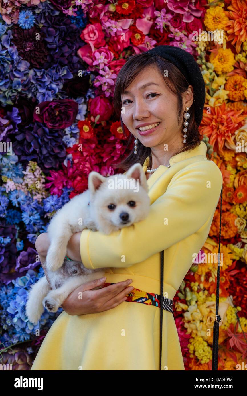 Chelsea, London, UK, 27th May 2022.Tiani and Jazz the Pompom pose with ...