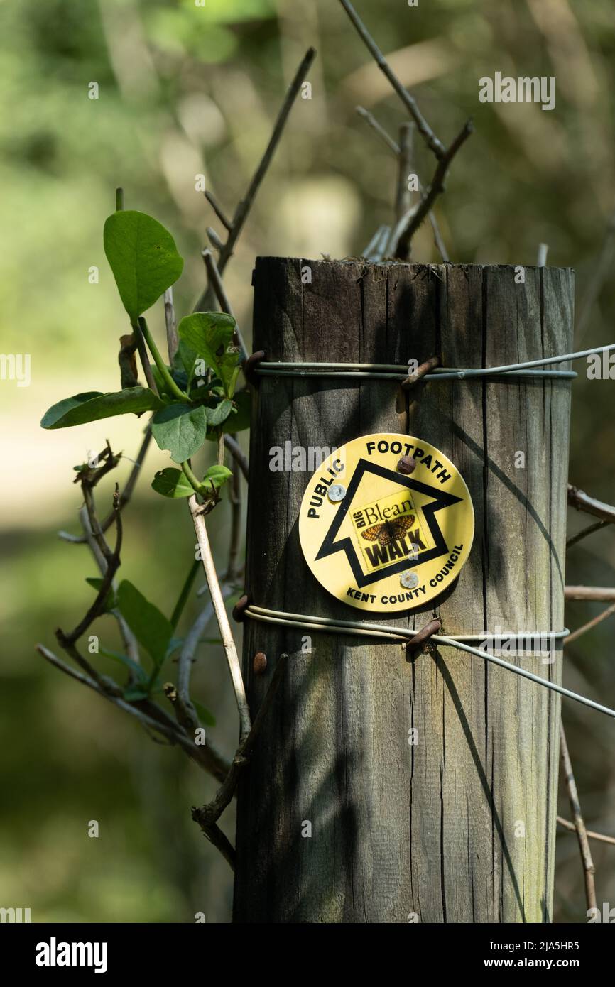 A sign for the Big Blean walk at Blean Woods near Canterbury in Kent ...