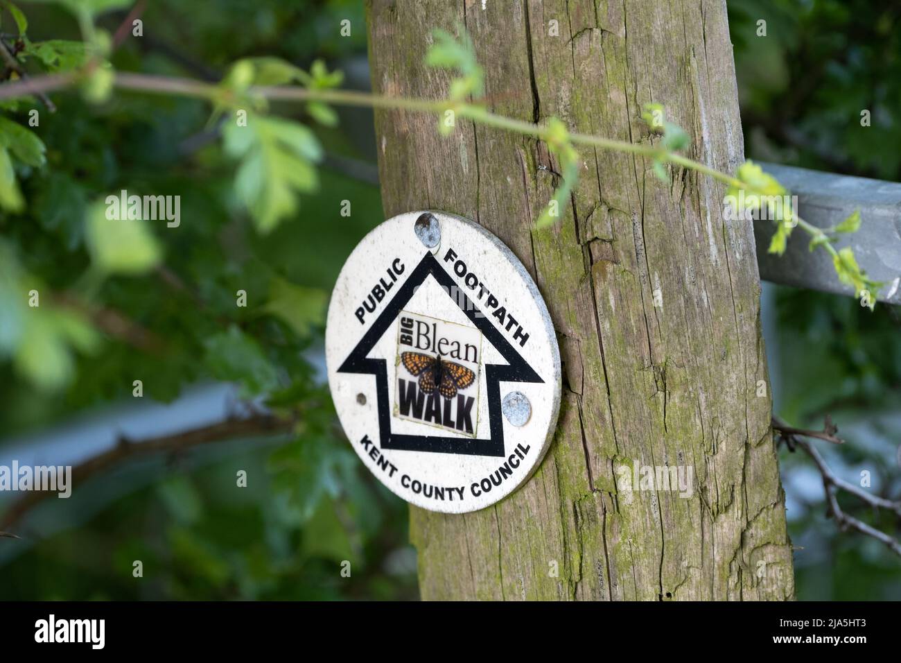 A sign for the Big Blean walk at Blean Woods near Canterbury in Kent ...