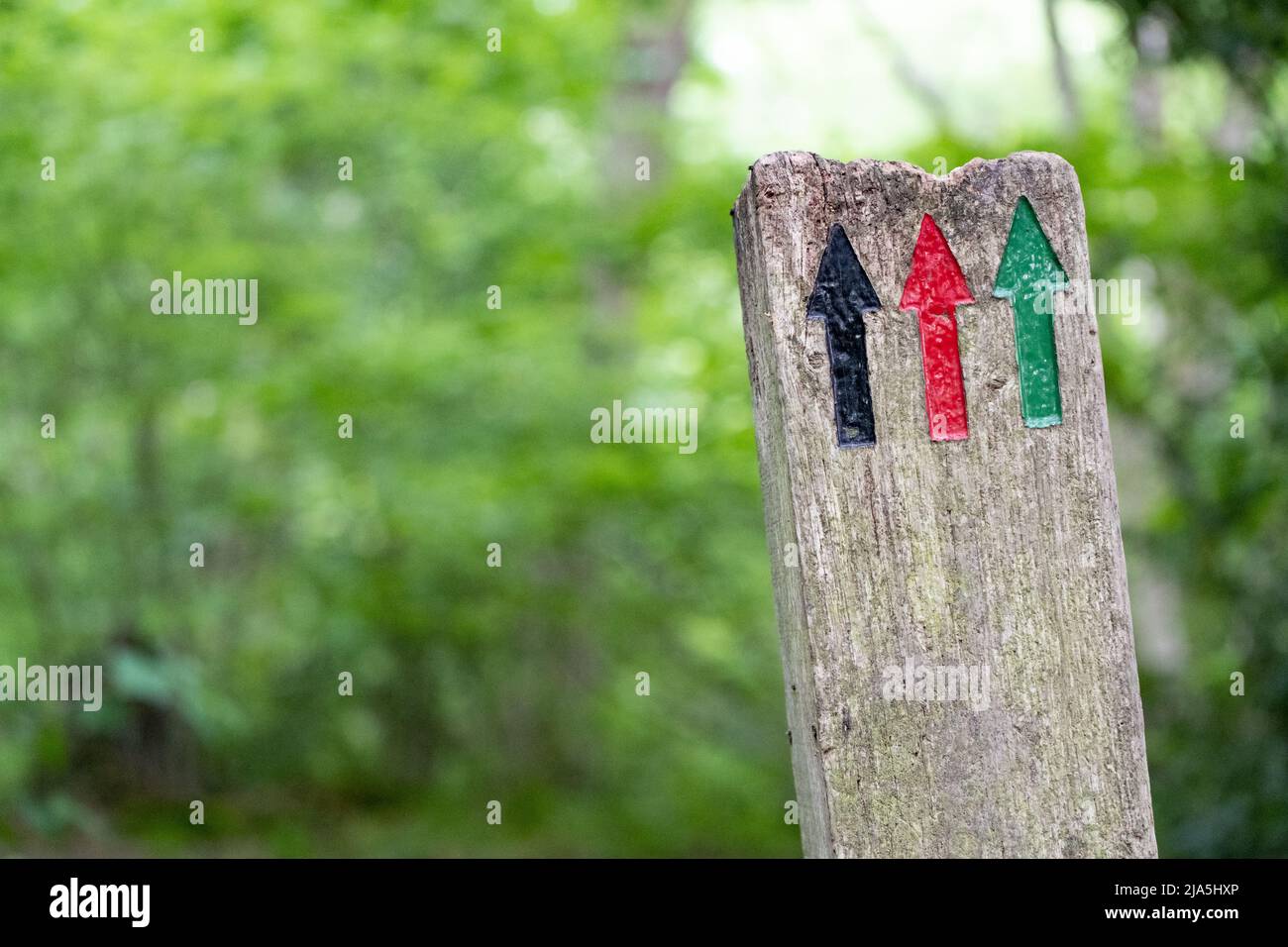 Coloured trail direction signs at Blean Woods RSPB, Kent, UK Stock ...
