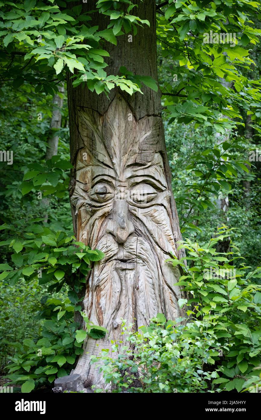 Green man carving hi-res stock photography and images - Alamy
