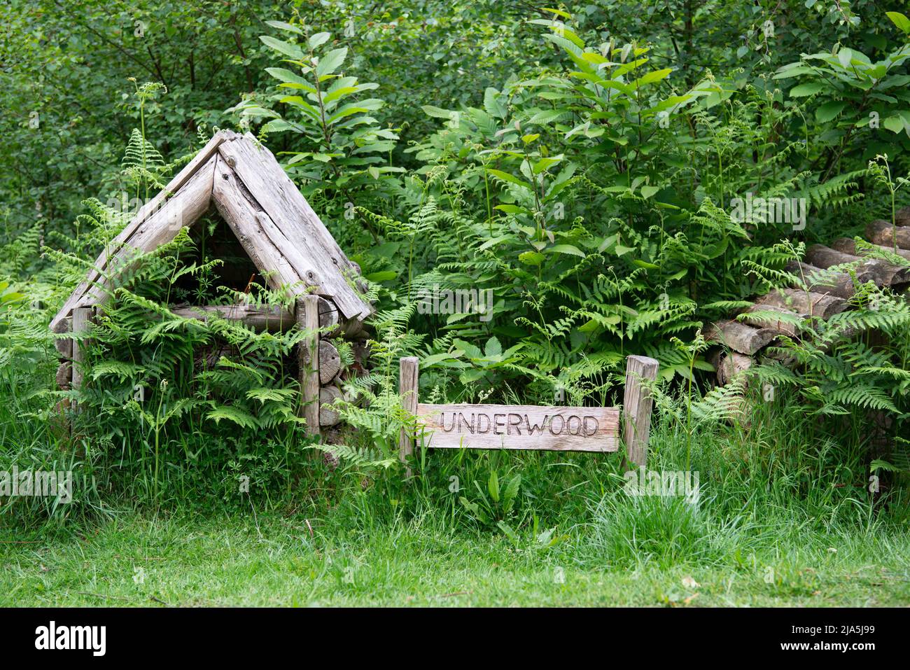 Kent wildlife hi-res stock photography and images - Alamy