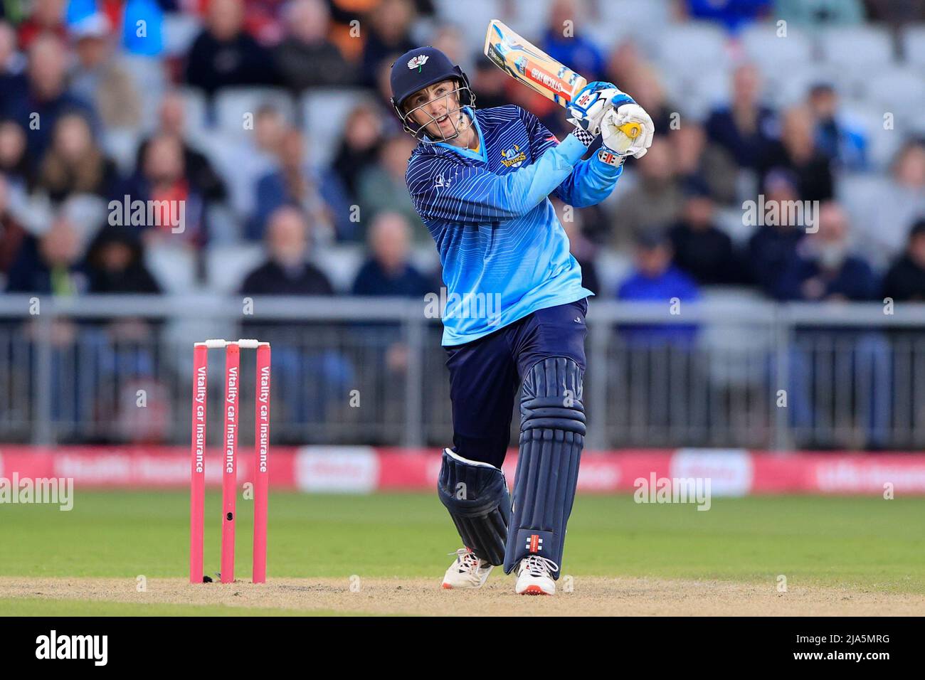 Harry brook cricket hi-res stock photography and images - Alamy