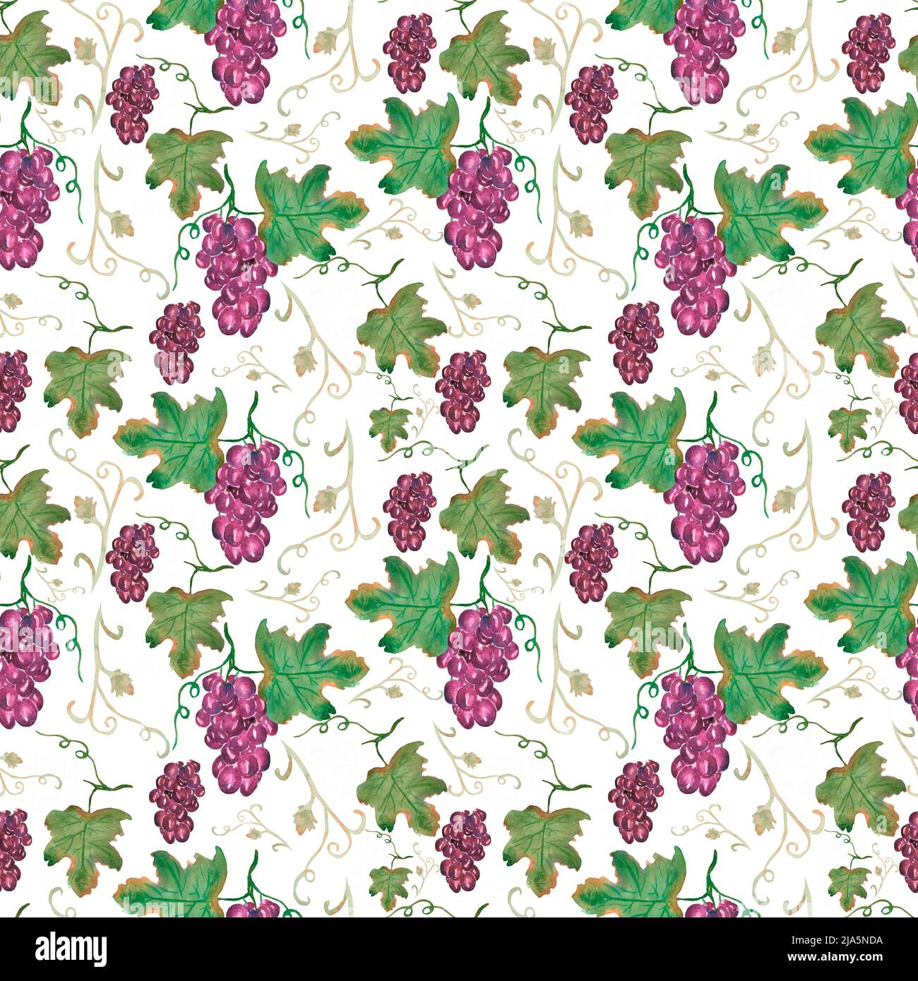 Watercolor fruit seamless pattern, hand drawn grapes repeat paper, eco ...