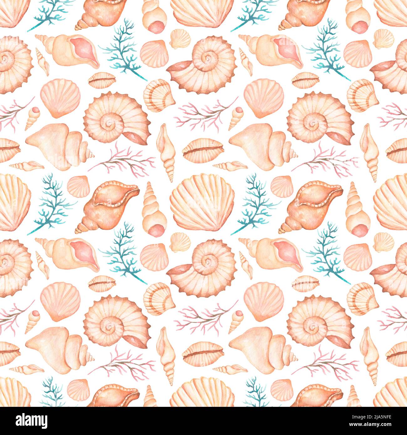 Watercolor sea shells seamless pattern, hand drawn summer ocen decor ...
