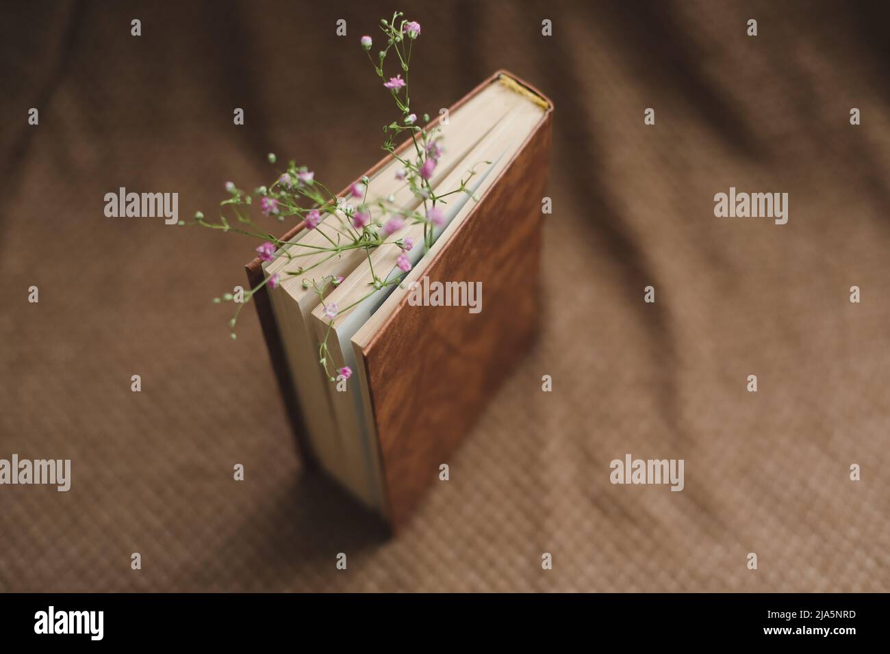 Inside a flower texture hi-res stock photography and images - Alamy